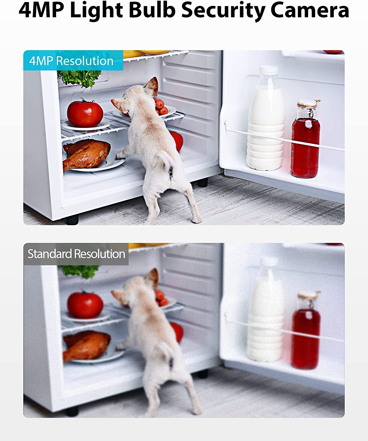 L2 Light Bulb Camera (4MP) – LaView Store USA